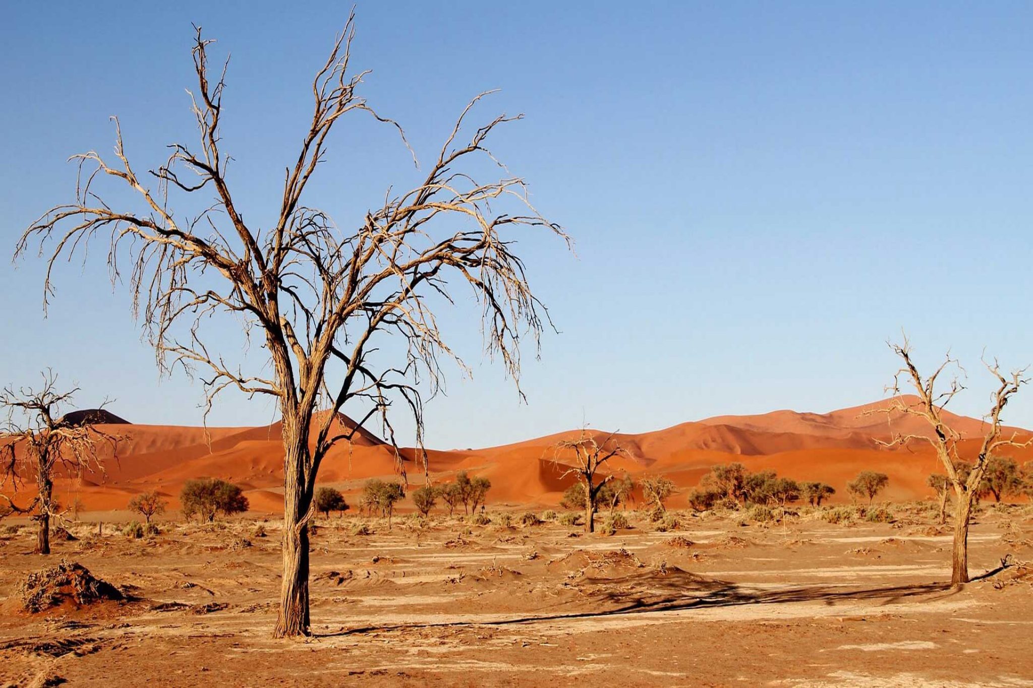 Namibia - Insider Journeys