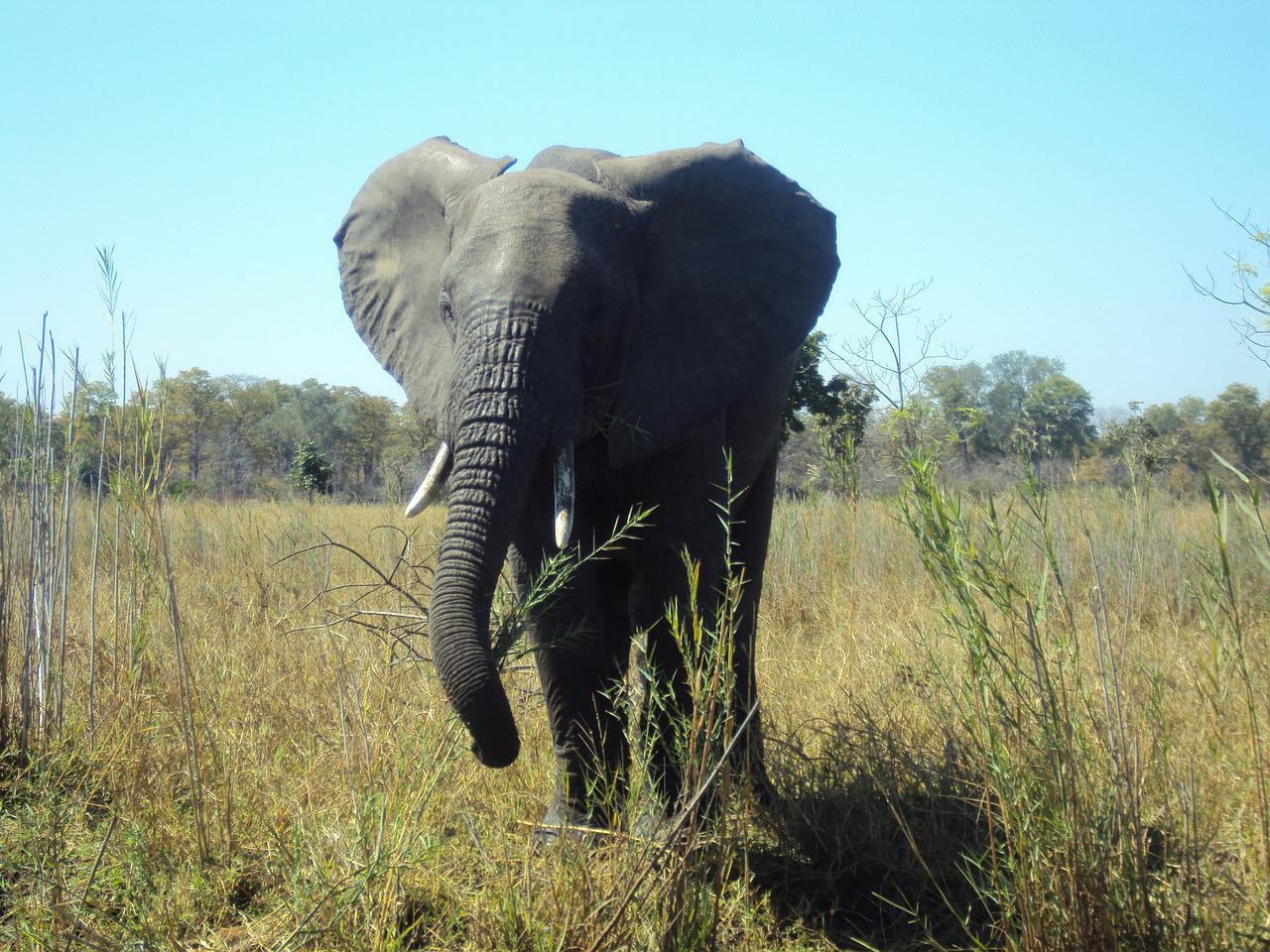 Malawi - Insider Journeys