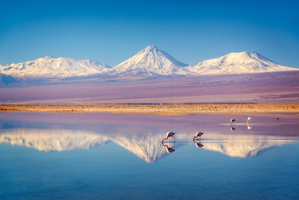 Andean Mountains & Santiago at a Glance - Insider Journeys