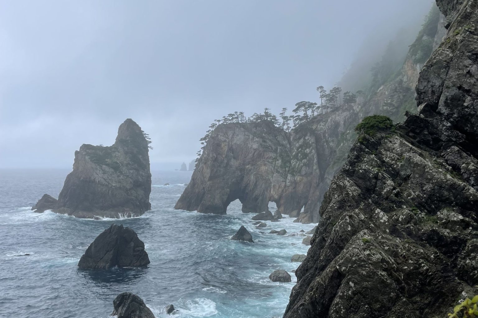 Michinoku Coastal Trail Hiking Tour - Insider Journeys