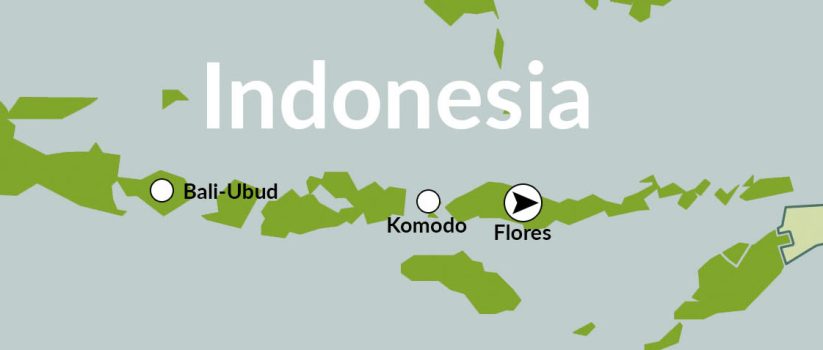 Flores Komodo Explorer - Insider Journeys